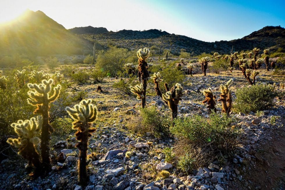 Visit the Phoenix Mountains Preserve - Lost In Phoenix