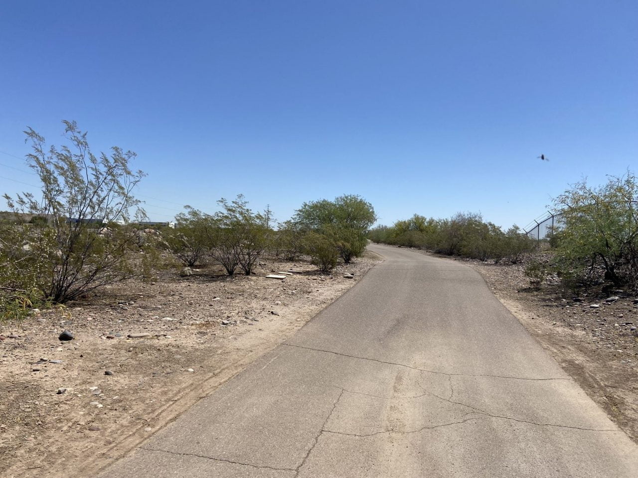 How about some epic biking trails in Phoenix? Urban and Mountain Bike ...