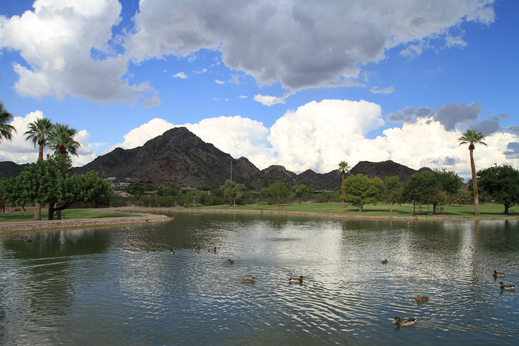 10 Great Places to Fish in Phoenix - Lost In Phoenix