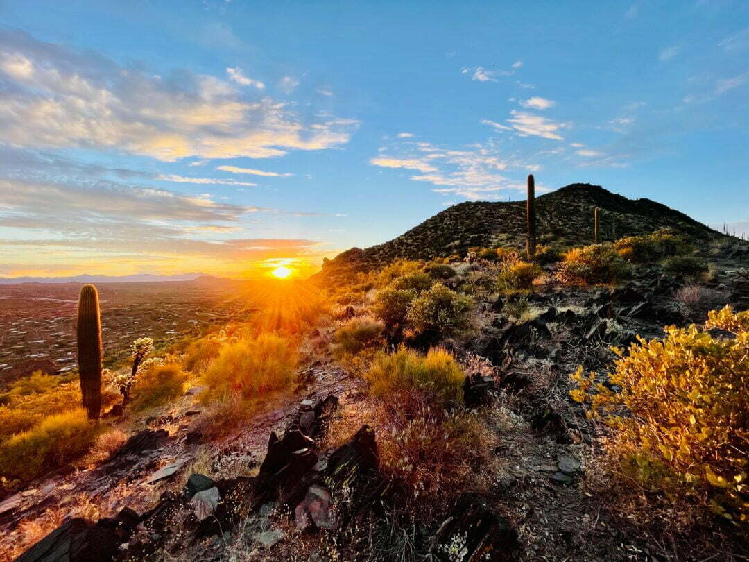 Phoenix Parks Manages Year-Round Storm Damage and Monsoon Risks - News ...