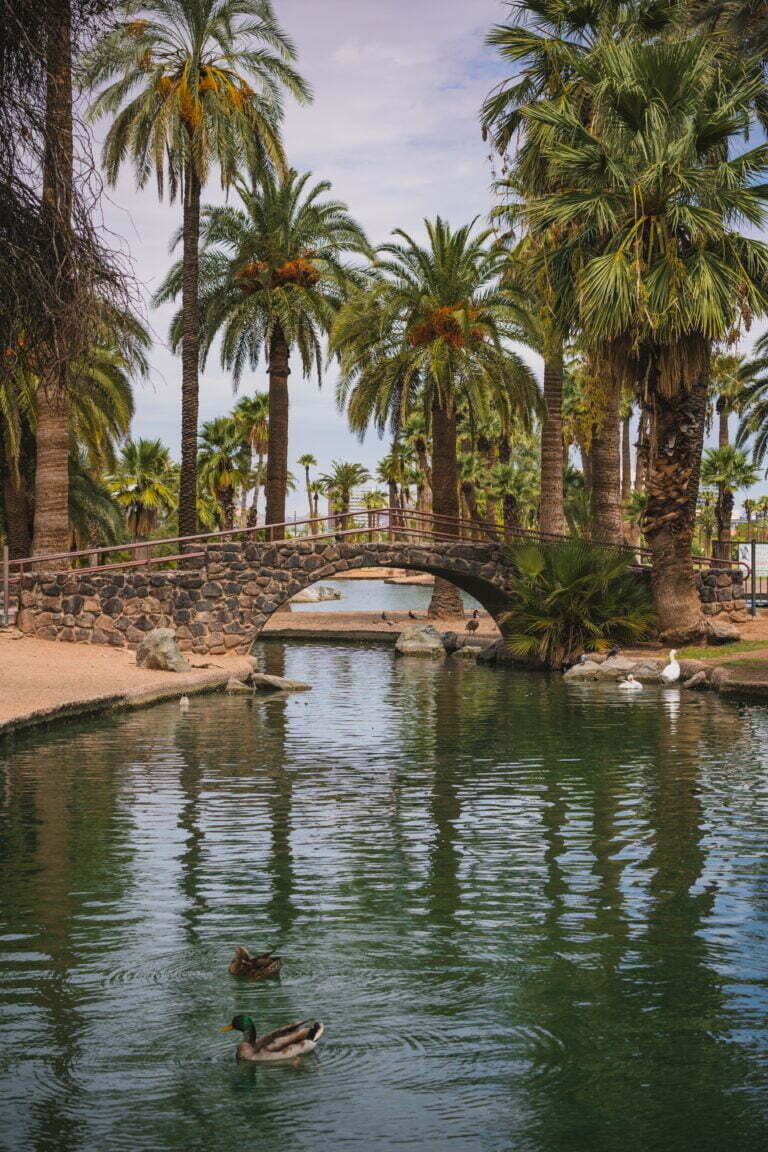 Discovering the Wonders of Phoenix Encanto: A Neighborhood Guide - Lost ...