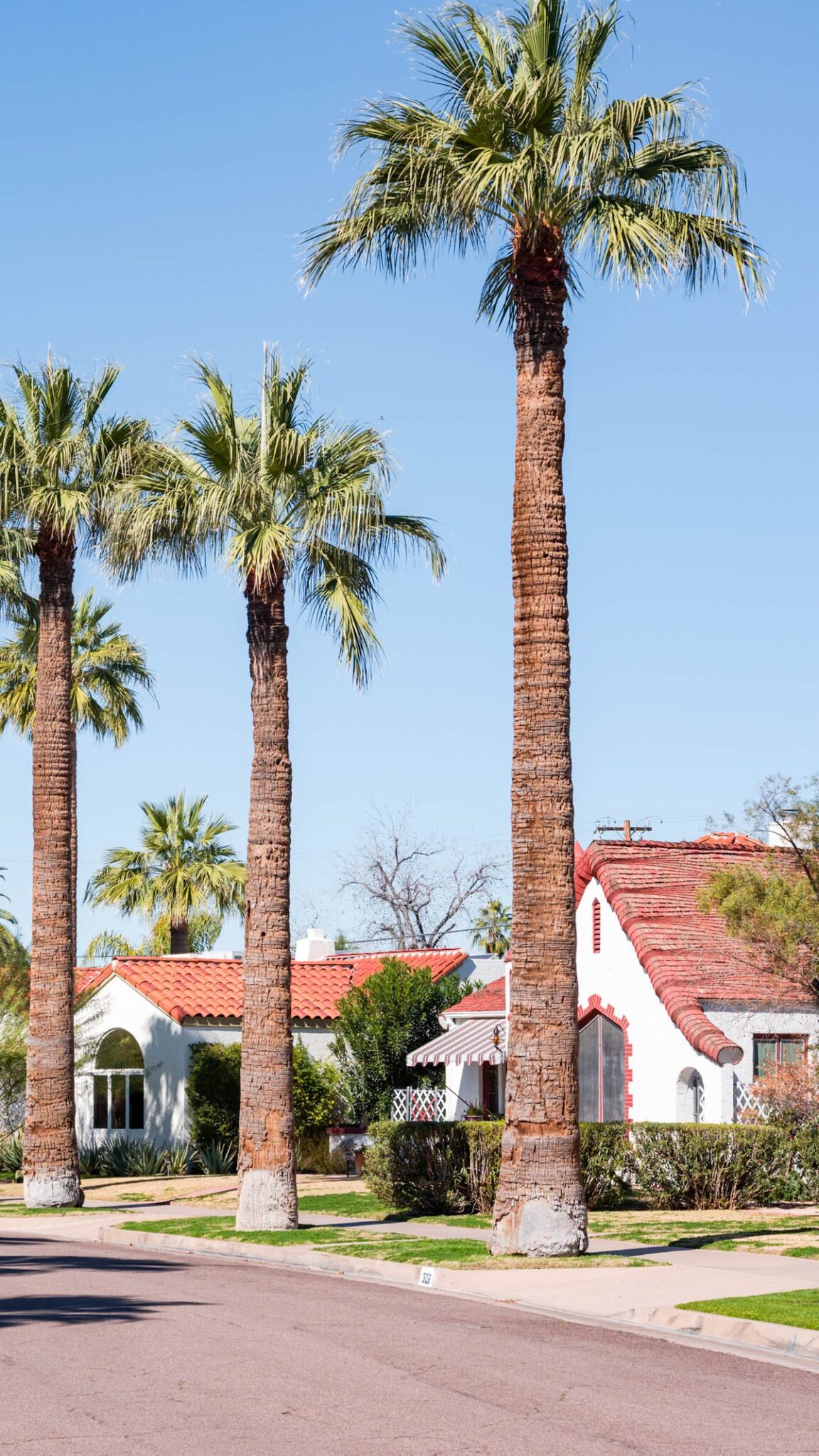 Discovering the Wonders of Phoenix Encanto: A Neighborhood Guide - Lost ...