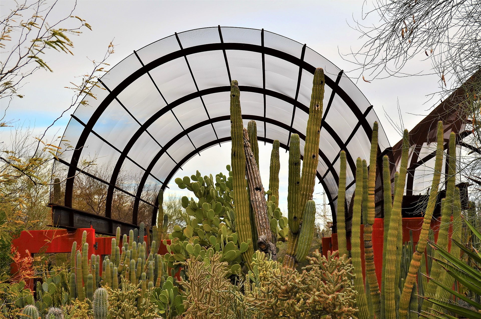 Exploring the Wonders of the Desert Botanical Garden Phoenix - Lost In ...