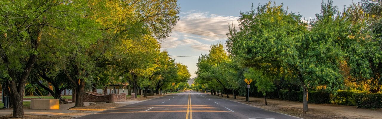 Phoenix Neighborhoods: A Comprehensive Guide to Living in the Valley of ...